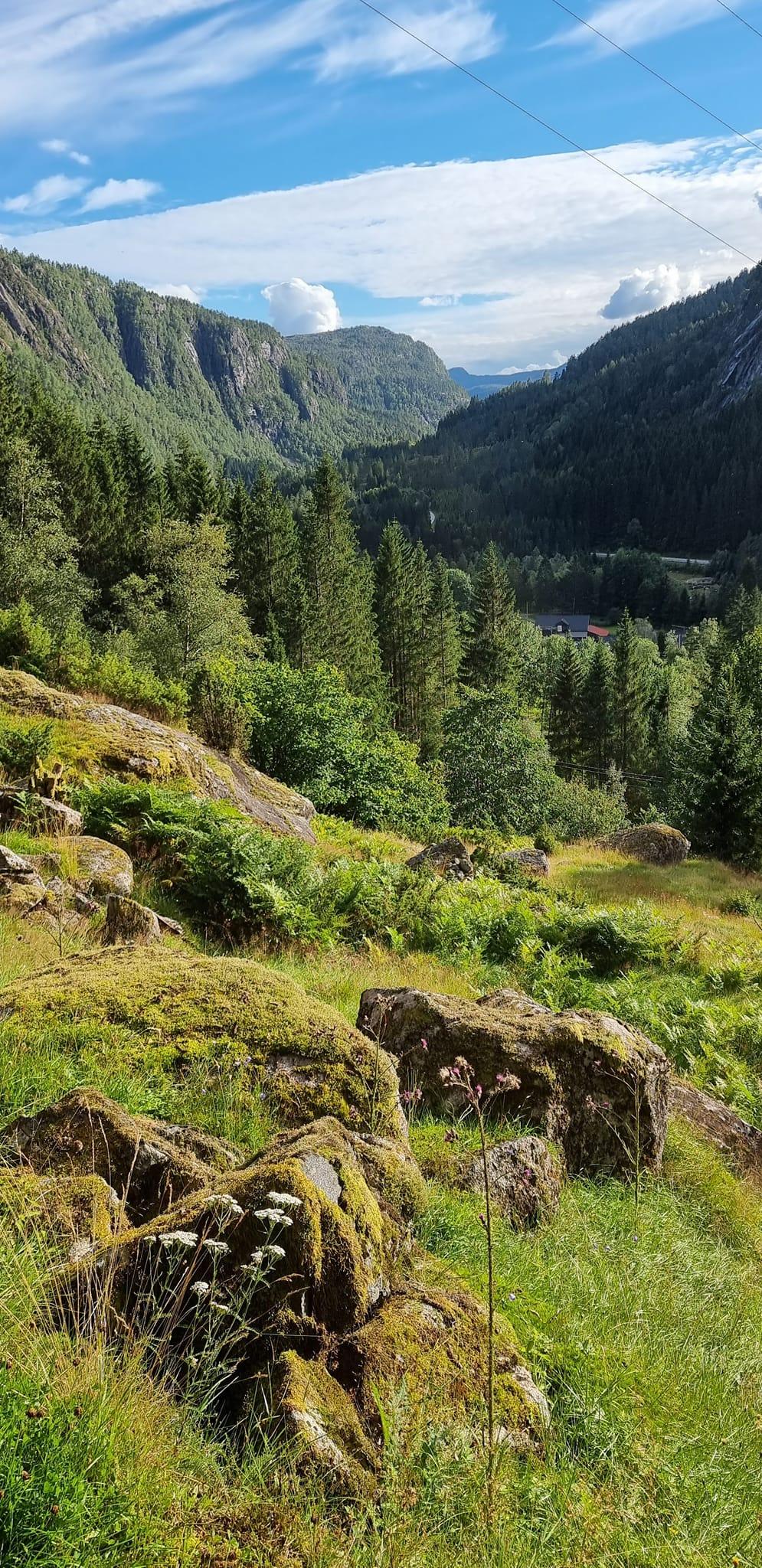 Blei kjende i Ousdal | Bygdekvinnelaget
